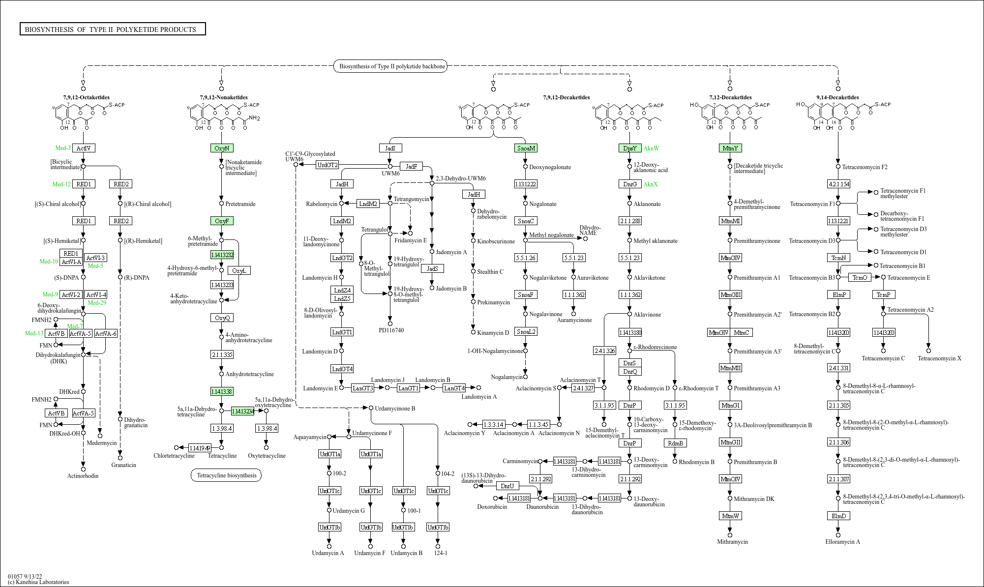 KEGG PATHWAY: Biosynthesis of type II polyketide products ...