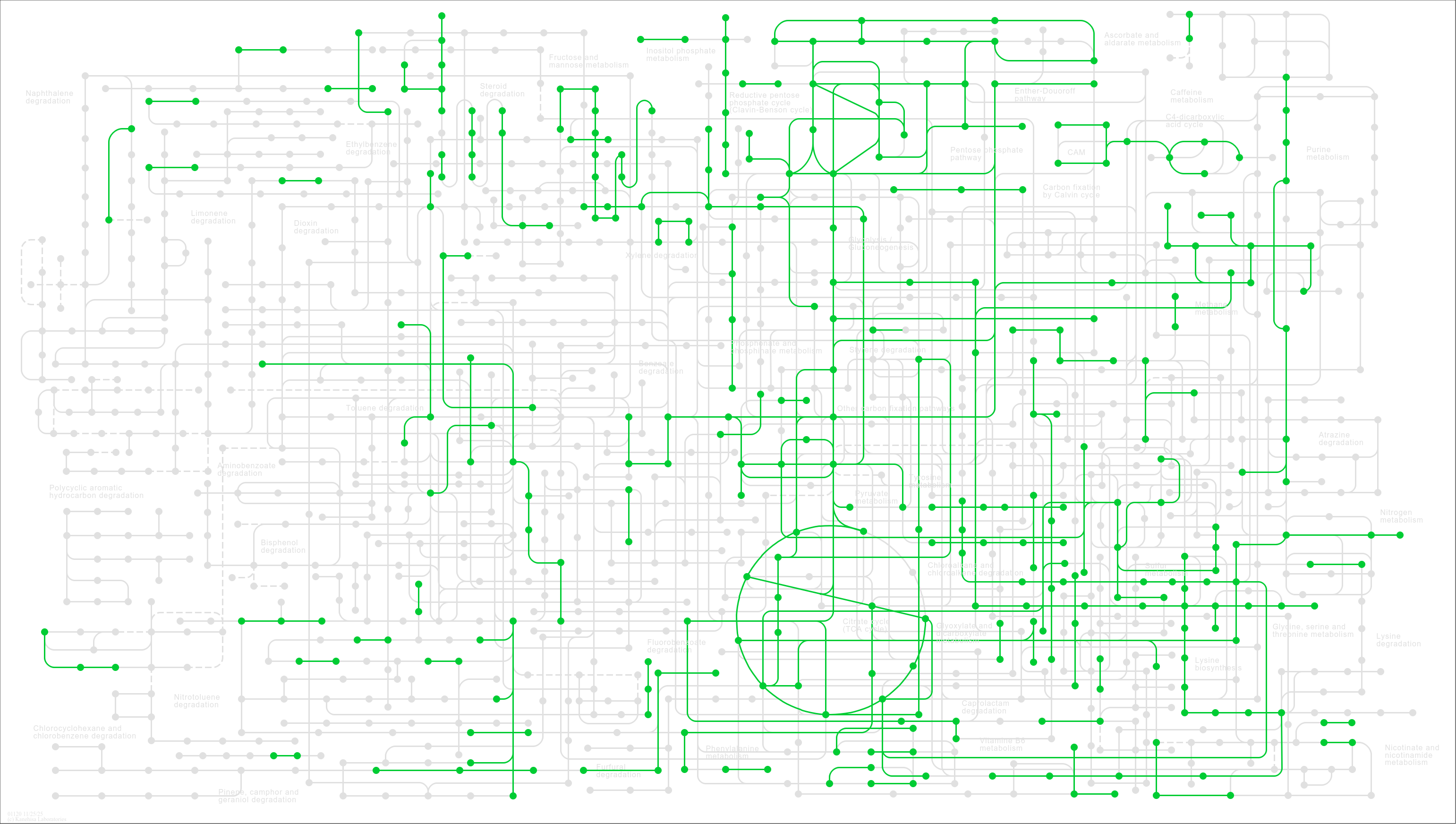 KEGG PATHWAY: Microbial metabolism in diverse environments ...