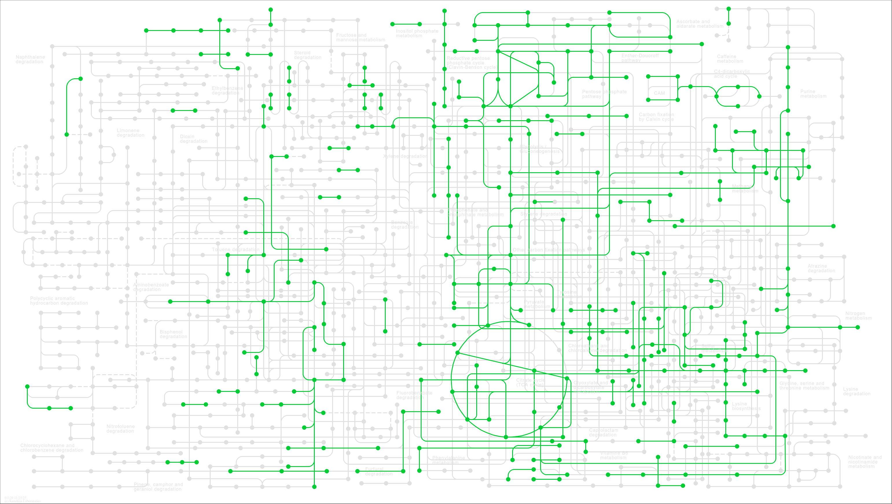 KEGG PATHWAY: Microbial metabolism in diverse environments ...