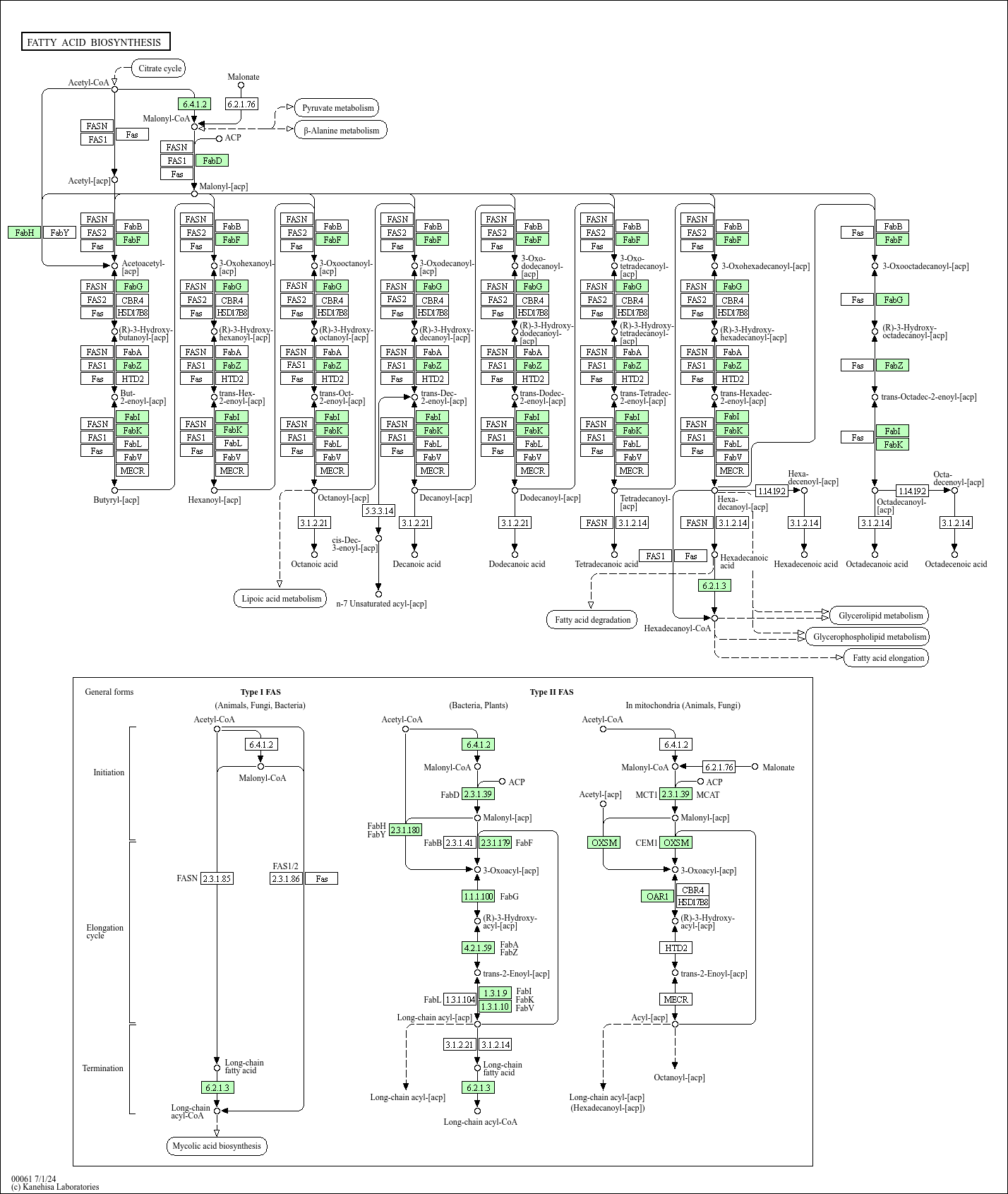 KEGG PATHWAY: Fatty acid biosynthesis - Sphingomonas melonis