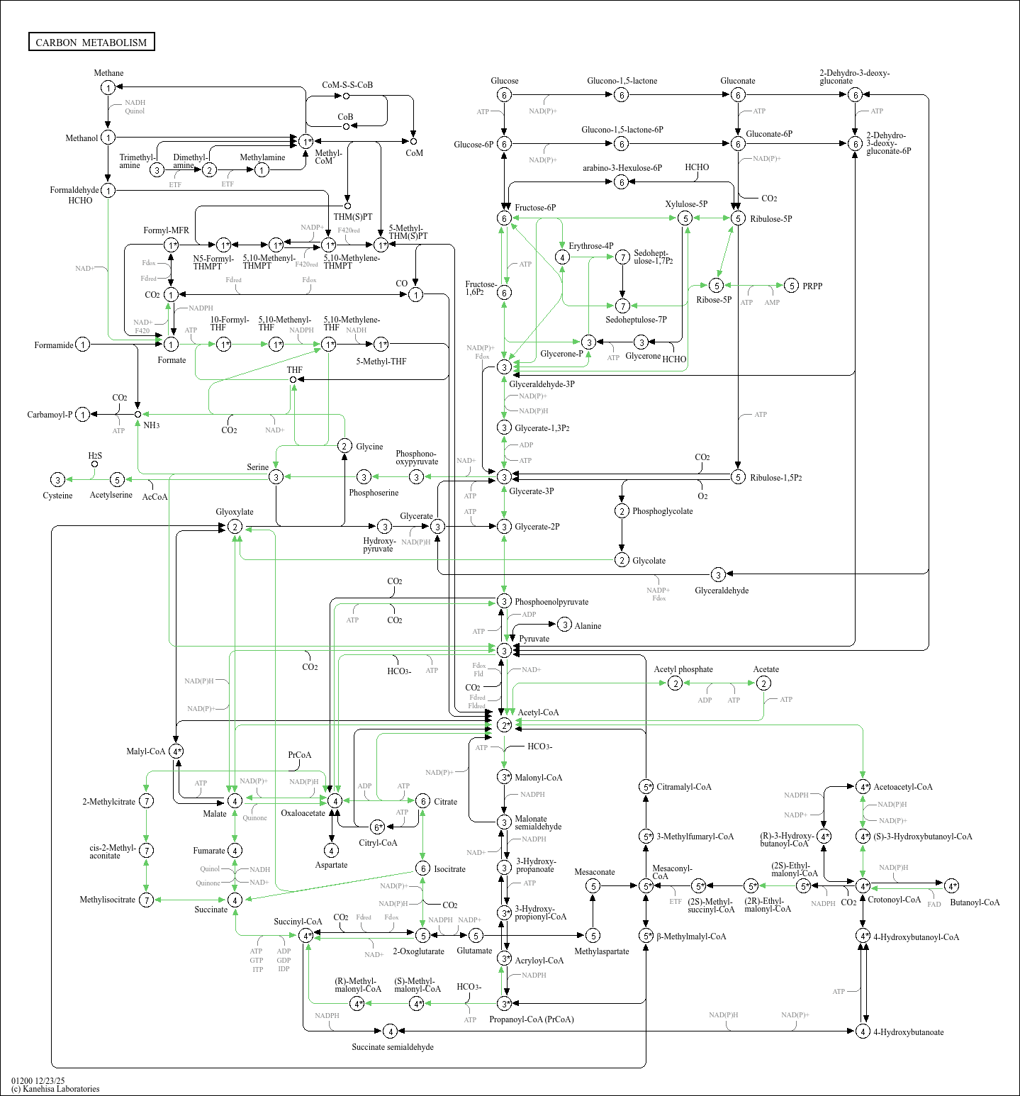 KEGG PATHWAY: Carbon metabolism - Sporosarcina sp. P37