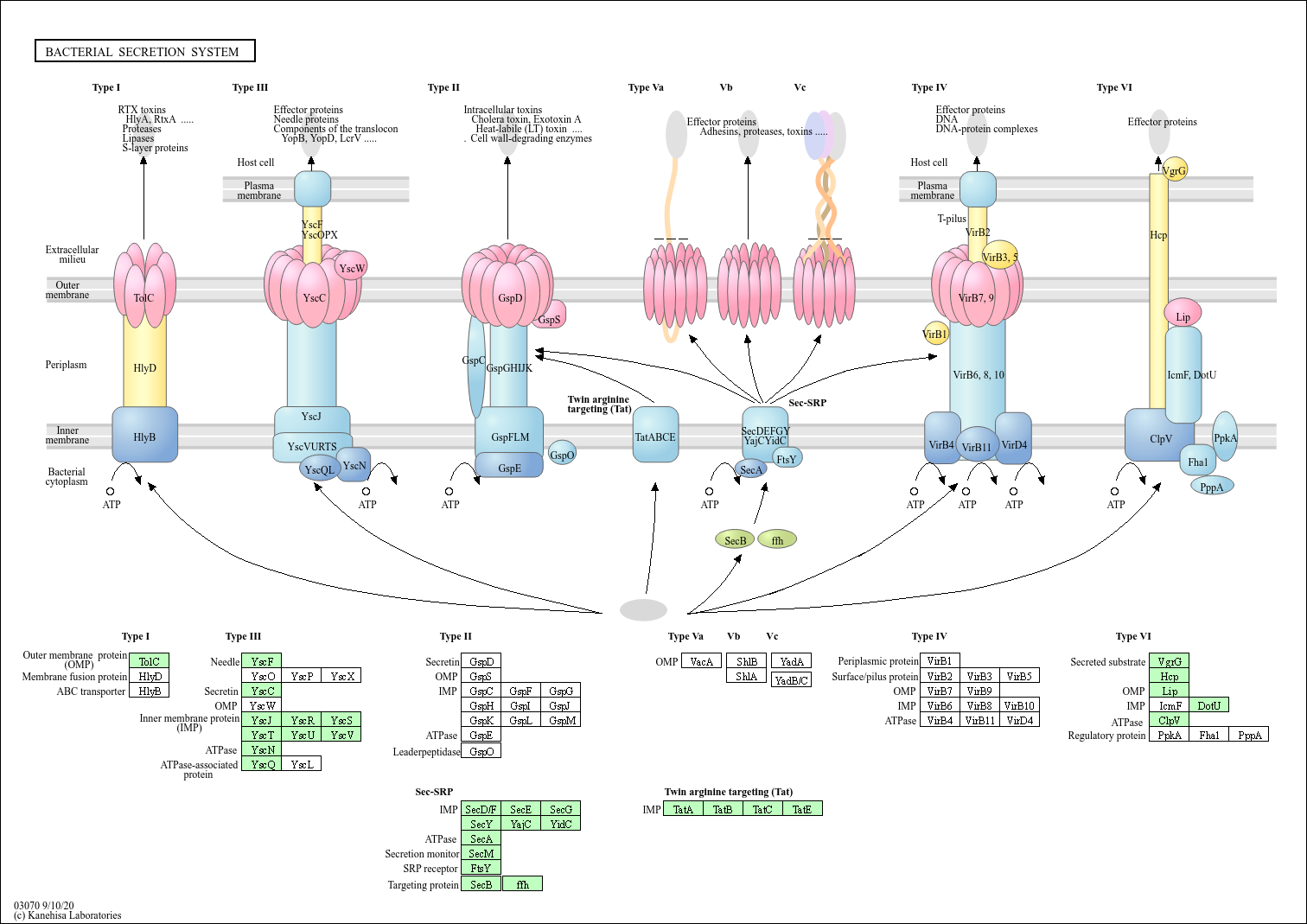 KEGG PATHWAY: Bacterial secretion system - Salmonella enterica subsp ...