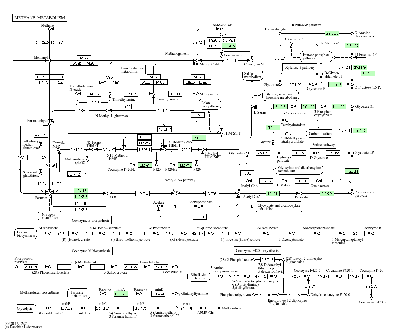 KEGG PATHWAY: Methane metabolism - Thermococcus cleftensis