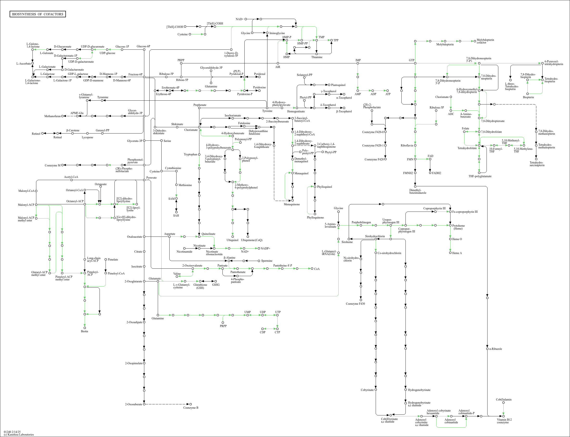 KEGG PATHWAY: Biosynthesis of cofactors - Usitatibacter rugosus