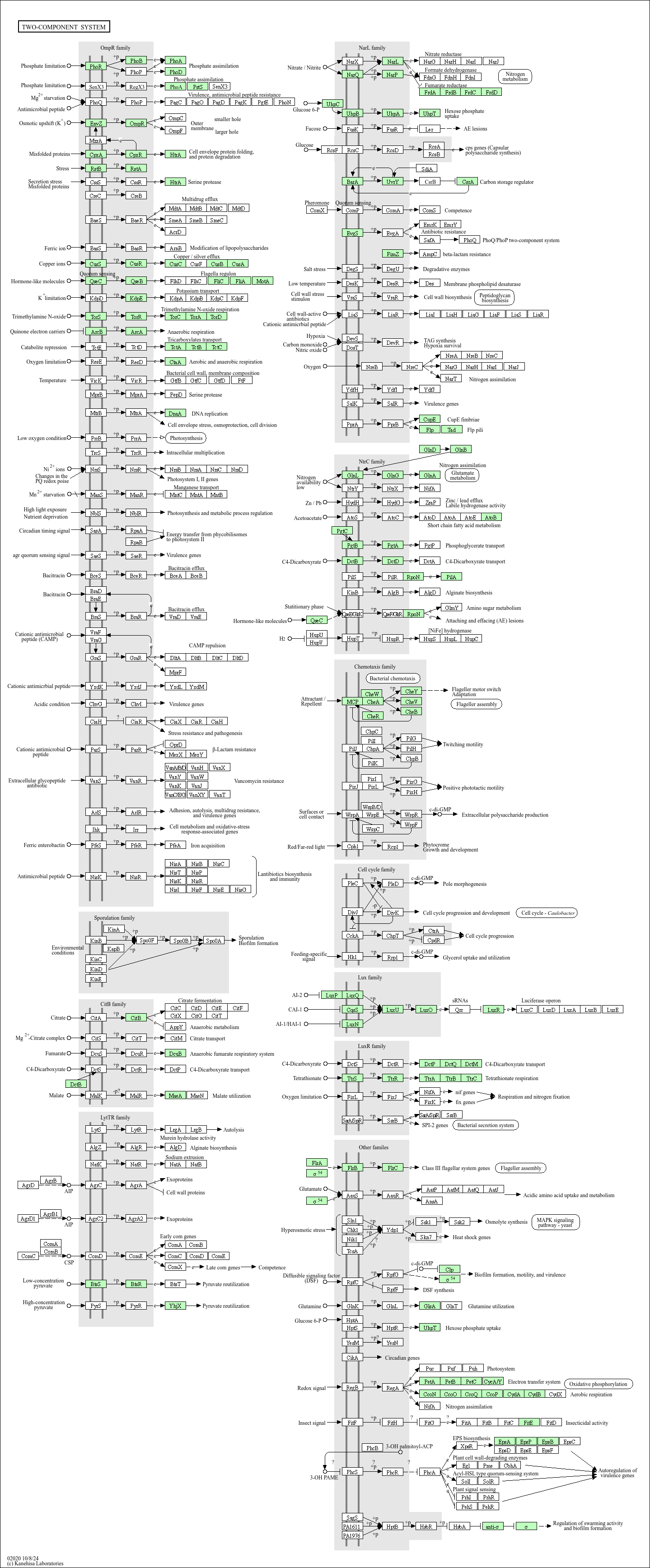 KEGG PATHWAY: Two-component system - Vibrio parahaemolyticus RIMD 2210633