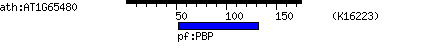 SSDB Motif Search Result: ath:AT1G65480