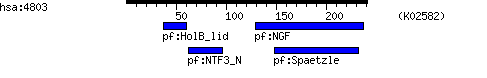 SSDB Motif Search Result: hsa:4803