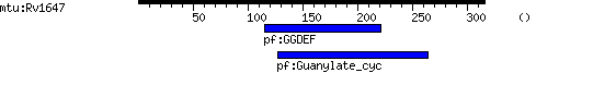 SSDB Motif Search Result: mtu:Rv1647